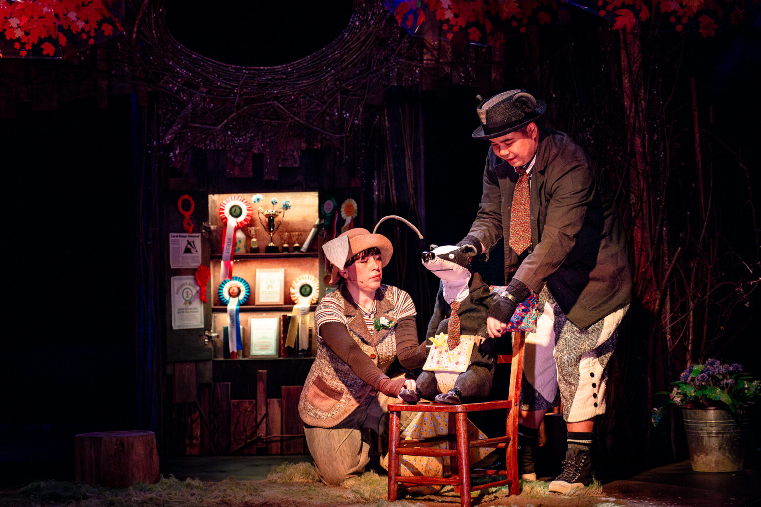 Tidy | Sherman Theatre