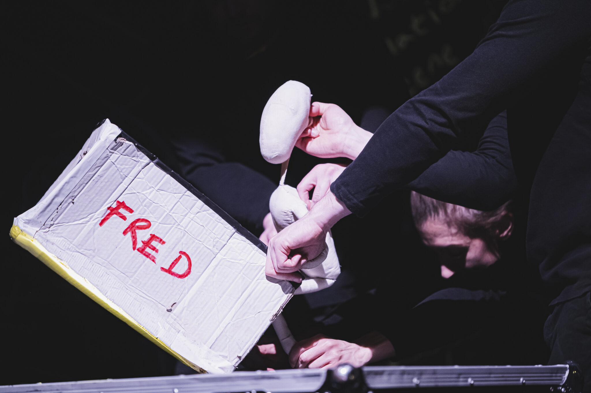 Meet Fred | Sherman Theatre
