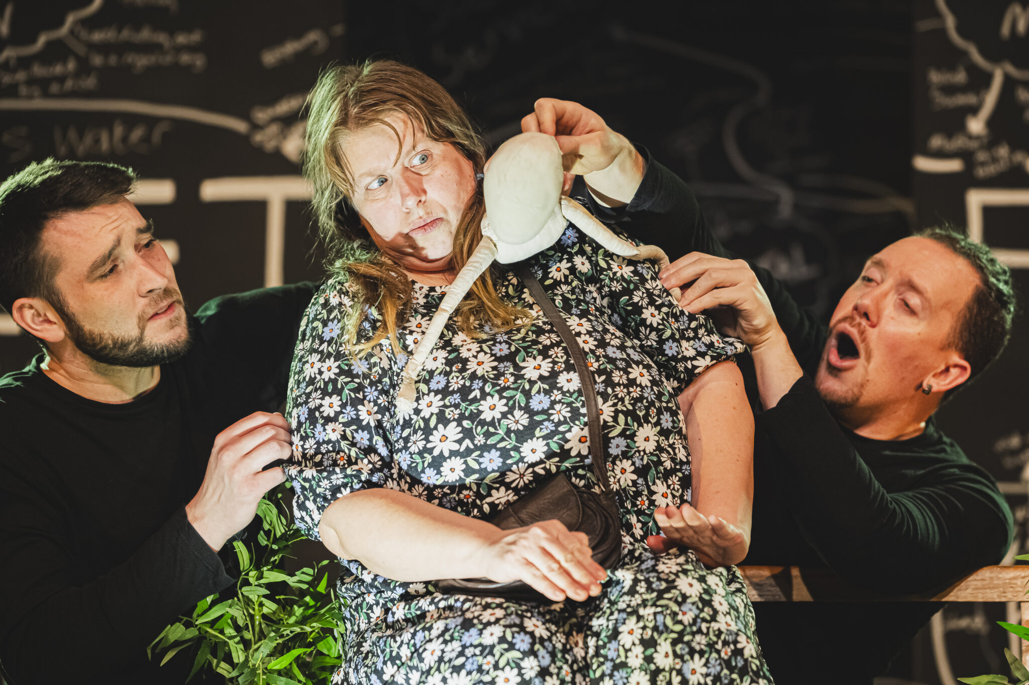 Meet Fred | Sherman Theatre